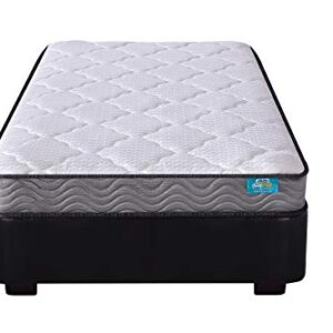 Viscologic SAVY Deep Feel High Density Foam Mattress for Guest Beds, Bunk Beds (Twin)