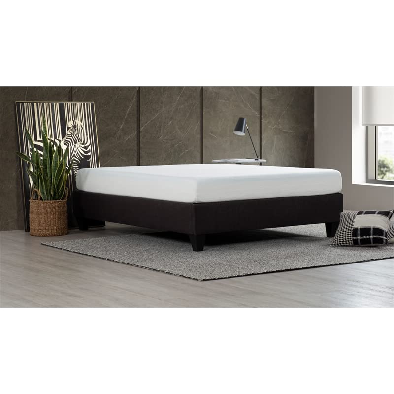 Primo International Speedy Base Bed Gray