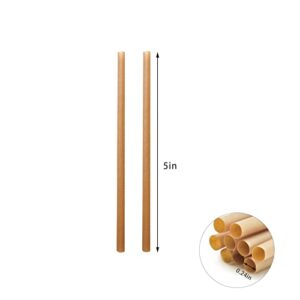 5 Inch Short Biodegradable Cocktail Straws 200 pcs Compostable Cocktail Stirrers Straws Made from 100% Sugarcane Fiber A Eco- Friendly Sturdy Drinking Straws for Hot and Cold Drinks Not Foggy