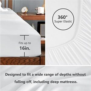 MD Home Decore Queen Size Sheet Set 4-Piece-Set 100% Egyptian Cotton Sheets 600 Thread Count Bed-Sheet-Set 16 Inch Deep Pocket of Fitted Sheet (Queen, White Solid)