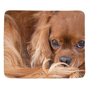 cafepress sweet friend ruby cavalier king charles spaniel sh sherpa fleece throw blanket