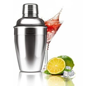 newness cocktail stainless steel wine shaker with strainer and lid top, 8.4oz (250 ml), small, single martini - great mother gifts