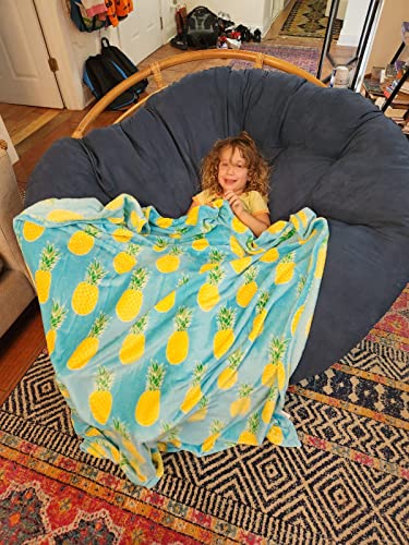 Summertime Whimsy Plush Fleece Throw Blanket (50" x 60") - Pineapple