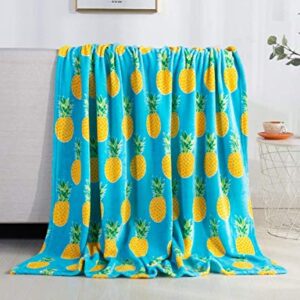 Summertime Whimsy Plush Fleece Throw Blanket (50" x 60") - Pineapple