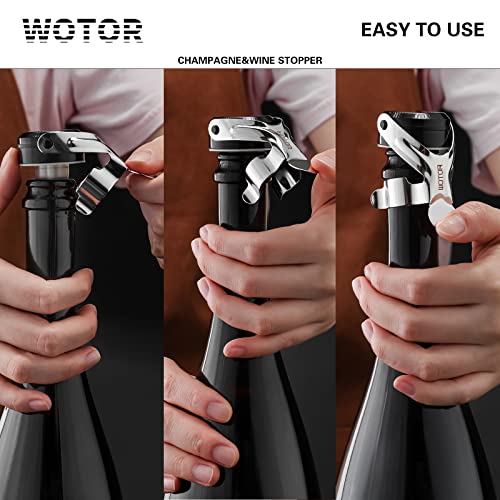 WOTOR Champagne&Wine Bottle Stoppers Stainless Steel with Food Grade Silicone, Leak Proof Keep Fresh Reusable Saver, Cork Suitable for Wine, Champagne, Cava, Prosecco and Sparkling (2 Pack Silver）