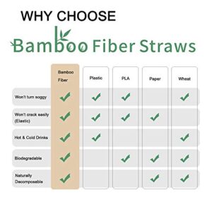 Biodegradable Smoothie Boba Straws made of Bamboo Fiber | 100 Pcs 9'' Jumbo Eco-Friendly Compostable Straws | for Hot & Cold Drinks