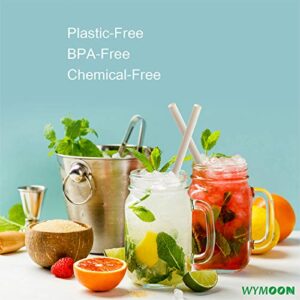 Biodegradable Smoothie Boba Straws made of Bamboo Fiber | 100 Pcs 9'' Jumbo Eco-Friendly Compostable Straws | for Hot & Cold Drinks