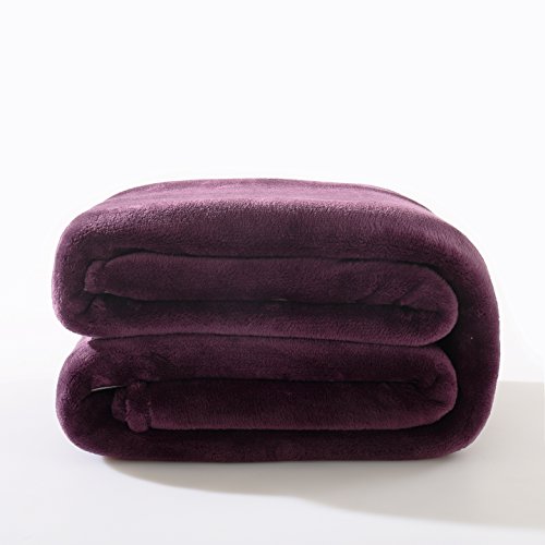 Reafort Ultra Soft Flannel Fleece All Season Light Weight Living Room/Bedroom Warm Throw Blanket (Purple, King 108"X92")