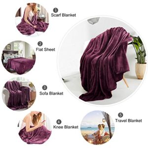 Reafort Ultra Soft Flannel Fleece All Season Light Weight Living Room/Bedroom Warm Throw Blanket (Purple, King 108"X92")