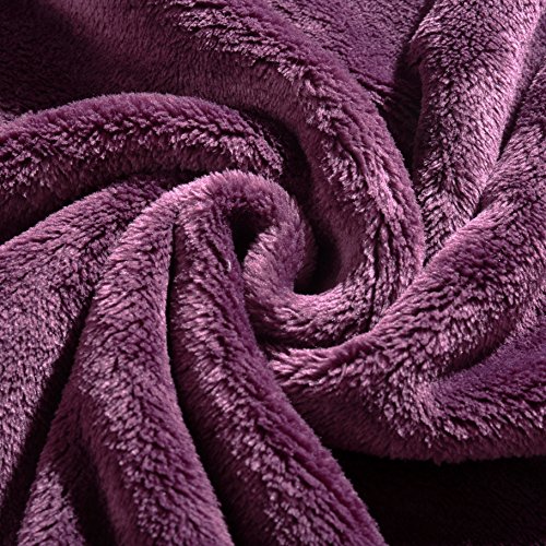 Reafort Ultra Soft Flannel Fleece All Season Light Weight Living Room/Bedroom Warm Throw Blanket (Purple, King 108"X92")