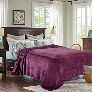 Reafort Ultra Soft Flannel Fleece All Season Light Weight Living Room/Bedroom Warm Throw Blanket (Purple, King 108"X92")