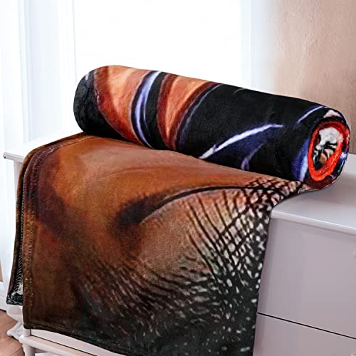 Anime Blanket Luffy Throw Blanket Soft and Fluffy Flannel Blanket Decorate Bedroom Living Rooms Sofa 60"X50"