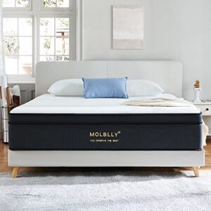 molblly queen mattress, 12 inch hybrid mattress in a box with gel memory foam, individually wrapped pocket coils innerspring, pressure-relieving and supportive,non-fiberglass,mattress queen size