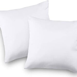 Utopia Bedding Throw Pillows Insert (Pack of 2, White) - 22 x 22 Inches Bed and Couch Pillows - Indoor Decorative Pillows