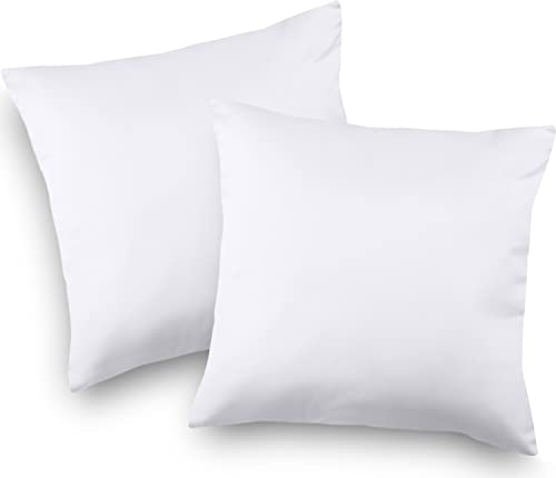 Utopia Bedding Throw Pillows Insert (Pack of 2, White) - 22 x 22 Inches Bed and Couch Pillows - Indoor Decorative Pillows