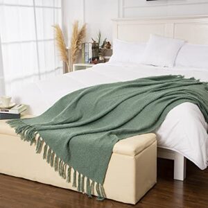 Gealaek Decorative Fluffy Faux Cashmere Throw Blanket Stone Green Fringe Lightweight Fuzzy Soft Cozy Throws for Sofa Bed Farmhouse Throw Blanket 50" x 60"