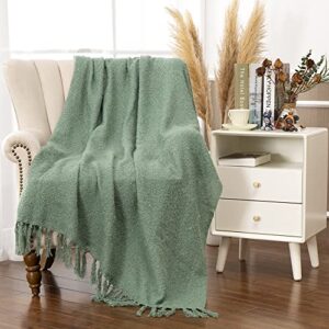 Gealaek Decorative Fluffy Faux Cashmere Throw Blanket Stone Green Fringe Lightweight Fuzzy Soft Cozy Throws for Sofa Bed Farmhouse Throw Blanket 50" x 60"