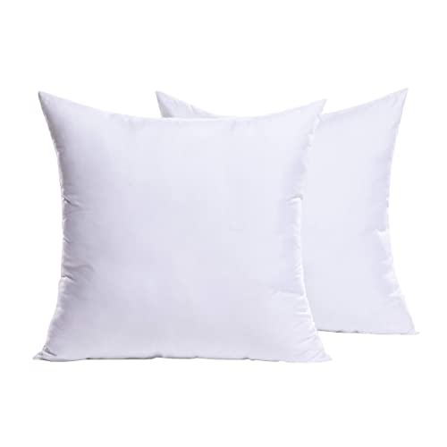 MIULEE 20 x 20 Pillow Inserts (Set of 2) - Throw Pillows Insert Hypoallergenic Premium Pillow Stuffer Square Form for Decorative Cushion Bed Couch Sofa