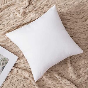 MIULEE 20 x 20 Pillow Inserts (Set of 2) - Throw Pillows Insert Hypoallergenic Premium Pillow Stuffer Square Form for Decorative Cushion Bed Couch Sofa