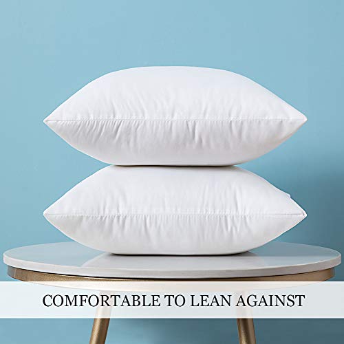 MIULEE 20 x 20 Pillow Inserts (Set of 2) - Throw Pillows Insert Hypoallergenic Premium Pillow Stuffer Square Form for Decorative Cushion Bed Couch Sofa