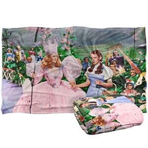 the wizard of oz stanley desantis vintage dorothy and glinda silky touch super soft throw blanket 36" x 58"