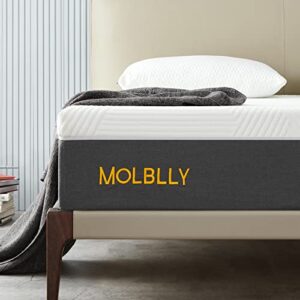 molblly 10 inches queen size mattress for back pain relief, gel memory foam mattress in a box, fiberglass free, medium firm, 10-year support, premium queen bed