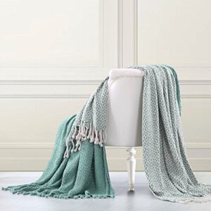 amrapur overseas | picasso 100% cotton throw blanket (aqua) 2 pack