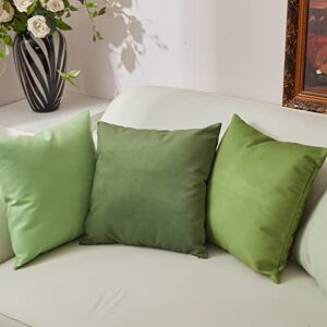 Tayis Green Throw Pillow Covers, Cotton Canvas Soft Square Pillow Cases 18x18 Set of 4, Decorative Pillows Suitable for Sofa Couch Bed Car Home