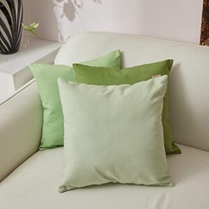 Tayis Green Throw Pillow Covers, Cotton Canvas Soft Square Pillow Cases 18x18 Set of 4, Decorative Pillows Suitable for Sofa Couch Bed Car Home