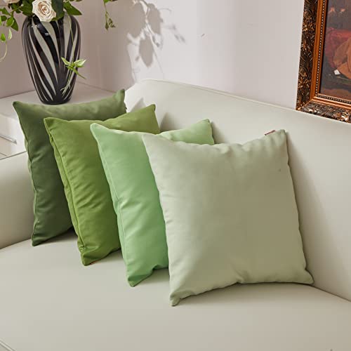 Tayis Green Throw Pillow Covers, Cotton Canvas Soft Square Pillow Cases 18x18 Set of 4, Decorative Pillows Suitable for Sofa Couch Bed Car Home