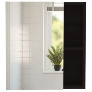 depot e-shop andes medicine cabinet with mirror - black wengue