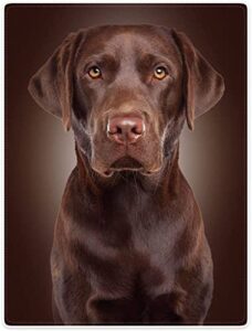 hommomh chocolate lab blanket, brown labrador dog print, soft fluffy fleece throw, 50"x80"