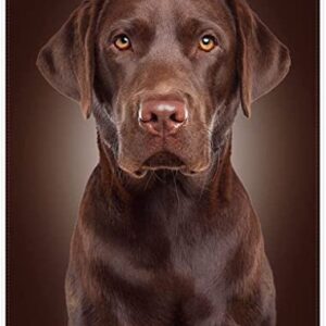 HommomH Chocolate Lab Blanket, Brown Labrador Dog Print, Soft Fluffy Fleece Throw, 50"x80"