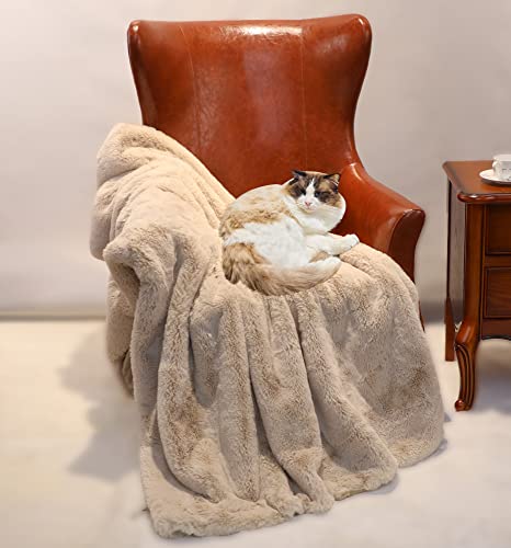 mis deseos Faux Fur Throw Blanket for Couch, Extra Soft, Warm,Fluffy, Anti-Static, Plush Blanket for Sofa Bed Living Room Bedroom Car,50x60 inches