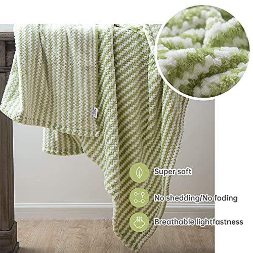 Simple&Opulence Dot Velvet Throw Blanket, Lightweight Striped Blanket for Sofa/Bed/Couch, Ultra Soft, Plush, Cozy and Warm, Green and White, 50''x60''