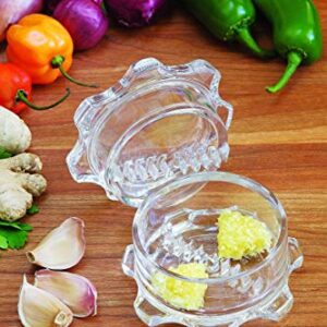 Ginger Twister 3rd Gen - For Garlic / Herb / Nuts, Garlic Press Kitchen Mincer and Grinder, Easy to Clean! (Clear) by NexTrend