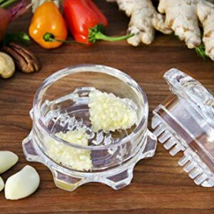 Ginger Twister 3rd Gen - For Garlic / Herb / Nuts, Garlic Press Kitchen Mincer and Grinder, Easy to Clean! (Clear) by NexTrend