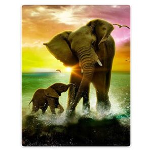 hommomh 60"x80" colorful seaside elephants blanket soft fluffy fleece throw for women