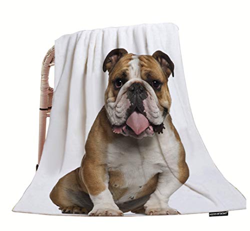 HGOD DESIGNS Throw Blanket Bulldog,Funny English Bulldog Sitting Against Soft Warm Decorative Throw Blanket for Bed Chair Couch Sofa 30"X40"