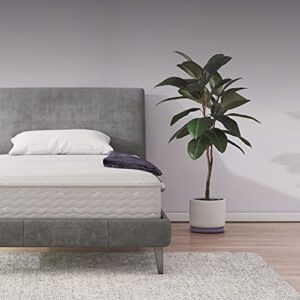 signature sleep contour 8" reversible mattress, independently encased coils, bed-in-a-box, twin