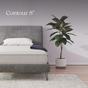 Signature Sleep Contour 8" Reversible Mattress, Independently Encased Coils, Bed-in-a-Box, Twin