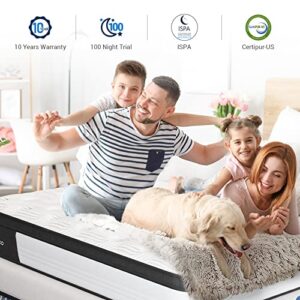 Avenco Queen Mattress 12 Inch, Hybrid Mattress Queen Medium Firm, Queen Mattress in a Box with Pocketed Springs CertiPUR-US Foam Mattress, Supportive&Pressure Relief, Breathable Fabric