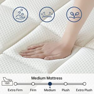 SUAYEA King Mattress, King Size Mattress in a Box, 12 Inch Hybrid Mattress King Size, Ultimate Motion Isolation with Gel Memory Foam and Pocket Spring, Medium Firm Mattress, Edge Support, CertiPUR-US