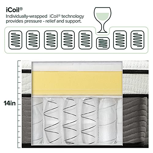 Zinus 14 Inch Support Plus Pocket Spring Hybrid Mattress/Extra Firm Feel/Heavier Coils for Durable Support/Pocket Innersprings for Motion Isolation/Mattress-in-a-Box, Full