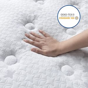 Sleepmax 14 Inch Queen Mattress - Hybrid Mattress Made in USA - Firm Mattress - Memory Foam with Individual Pocket Springs, Bed Mattress-in-a-Box