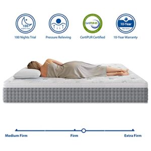 Sleepmax 14 Inch Queen Mattress - Hybrid Mattress Made in USA - Firm Mattress - Memory Foam with Individual Pocket Springs, Bed Mattress-in-a-Box