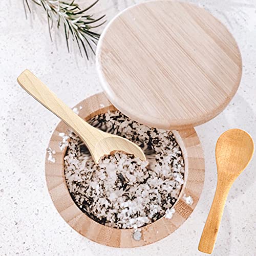 Small Wooden Spoons 50 PCS Mini Wooden Spoons for Body Scrubs/Sugar Scrubs/Spices/Ice Cream/Bath Salts, 3.93inch Little Wooden Spoons