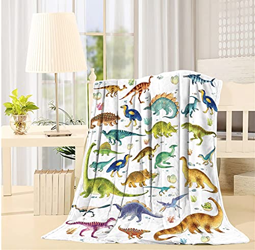 Dinosaur World Blanket Throw, Flannel Fleece Ultra-Soft Fluffy Throw Unisex Light Comfort Blanket for Couch, Sofa Living Room and Camping 60" x 80"