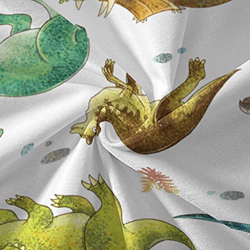 Dinosaur World Blanket Throw, Flannel Fleece Ultra-Soft Fluffy Throw Unisex Light Comfort Blanket for Couch, Sofa Living Room and Camping 60" x 80"