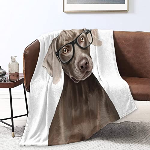 Adults Kids Wearable Blanket Wrap Cozy Soft Warm Throw Blanket for Studying Reading Snuggling Napping, Weimaraner Cute Dogs White, 60"x50"